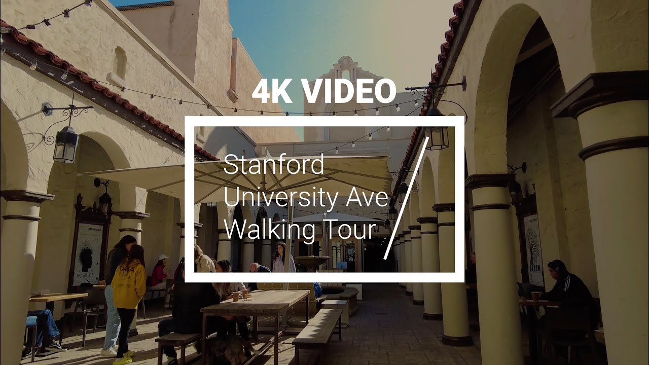 [4K] Stanford University Ave. Walking Tour: Explore the Heart of ...