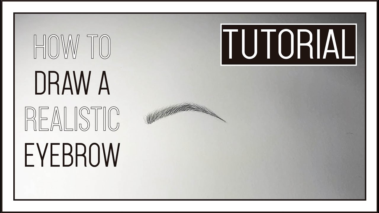 Tutorial - How to Draw a Realistic Eyebrow - Beginners - YouTube