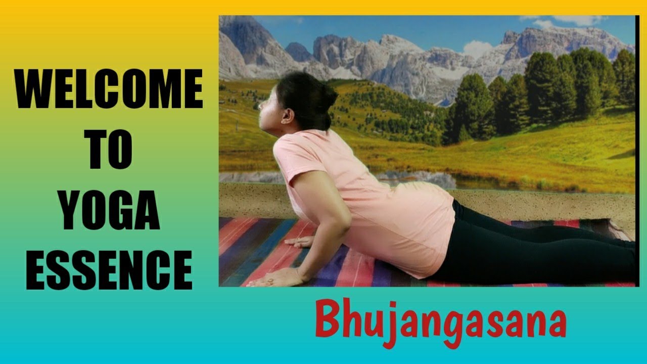 Bhujangasana | Cobra pose | step by step | Yogaessence - YouTube