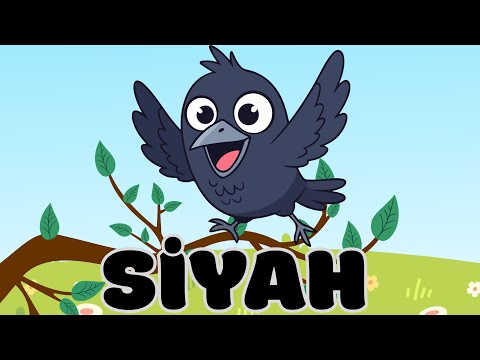 Siyah Renk Şarkısı 🖤 | Eğlenceli  Çocuk Şarkısı | Yuminayumi ile Renkler
