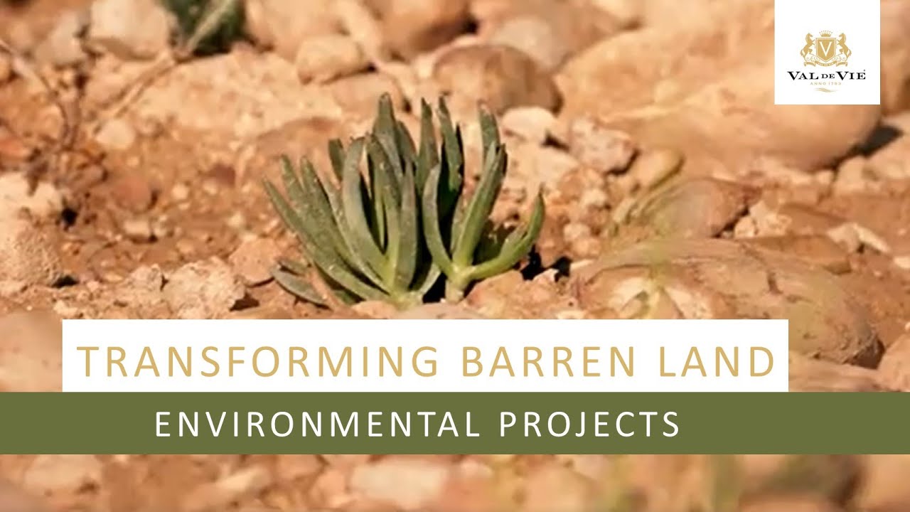 Transforming Barren Land With Over 400 Plants | Environmental Projects ...