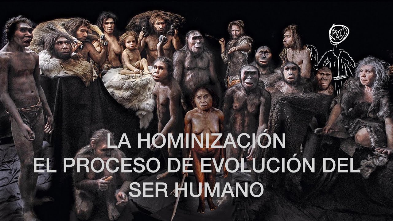 La hominización del ser humano. Evolución biológica y evolución social ...