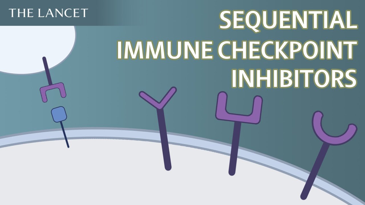 Sequential use of immune checkpoint inhibitors in renal cell carcinoma ...