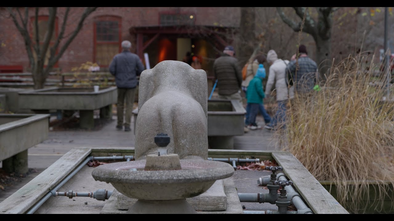 Testing the Lumix 70-300 Zoom Lens with Hybrid Zoom on the Lumix S9 at ...