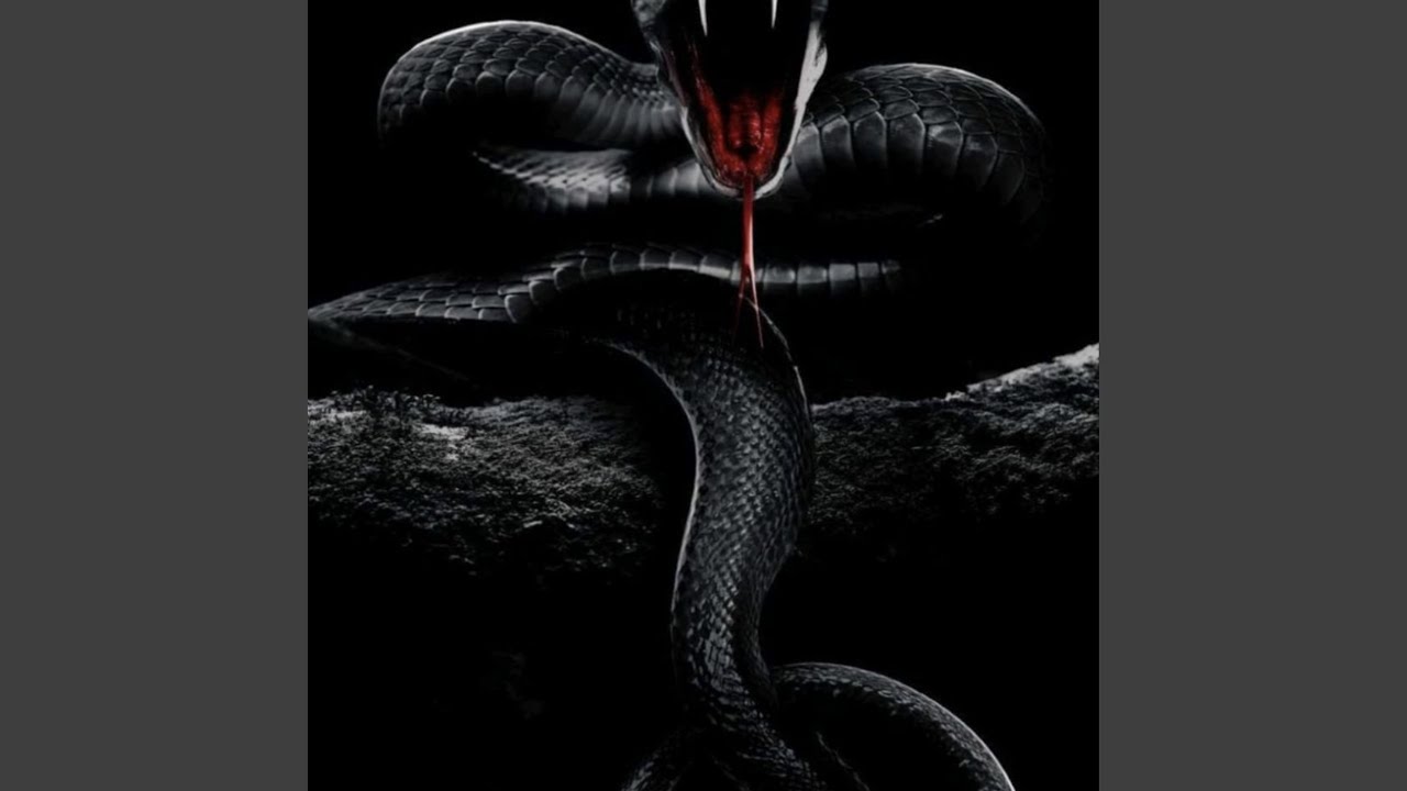Snake talk - YouTube