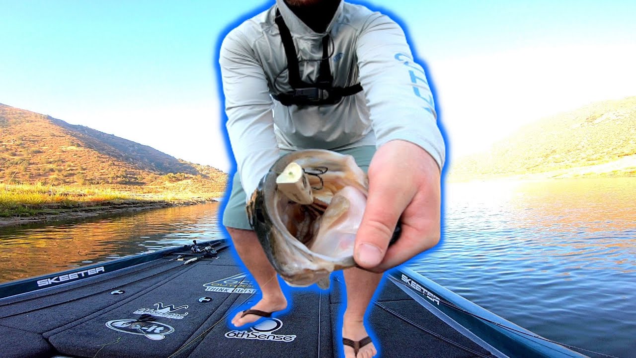 Smashing Summer Bass on Topwater and GIANT WORMS - 6th Sense Ridge Worm ...