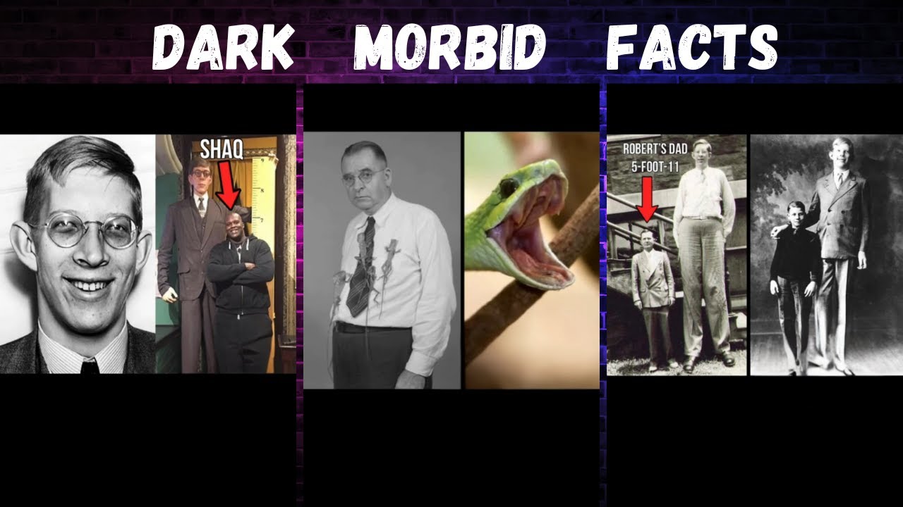 Morbid Facts You Won't Believe Are True pt.29 | Creepy Tiktok Videos ...