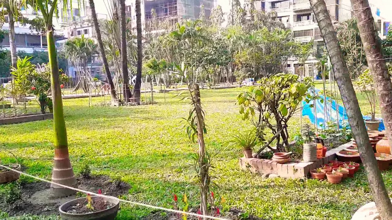 Baridhara Diplomatic zone |Baridhara Society Park 🌱🍂🌻 - YouTube
