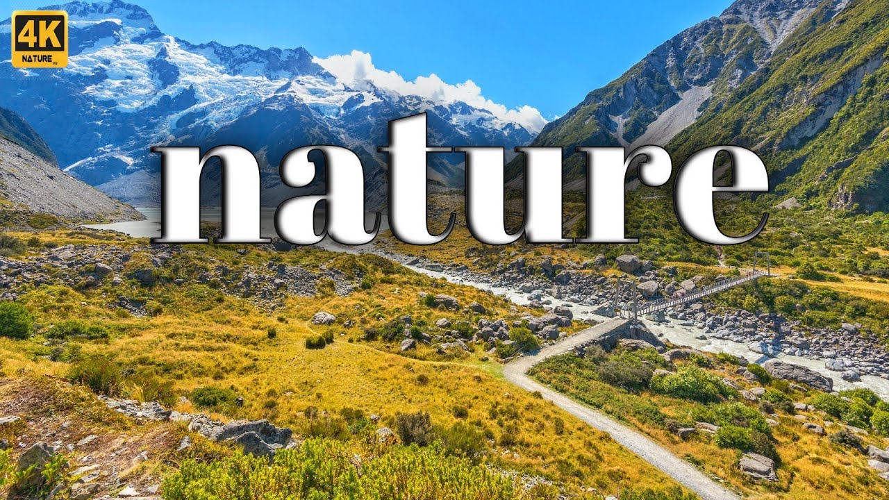 4K mountain|nature|best video clip| please support#forest, #nature ...