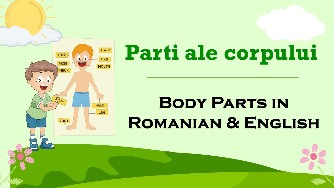 Parti ale corpului - Body Parts in Romanian & English - YouTube