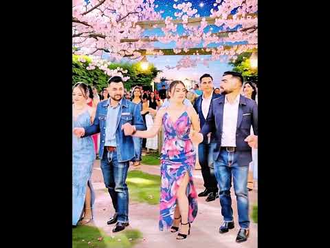 Düğünde  kadınlar halay oynuyorlar  #halay #halaybasi #şefo #kurdish #kurtce #düğün #gelin #batman