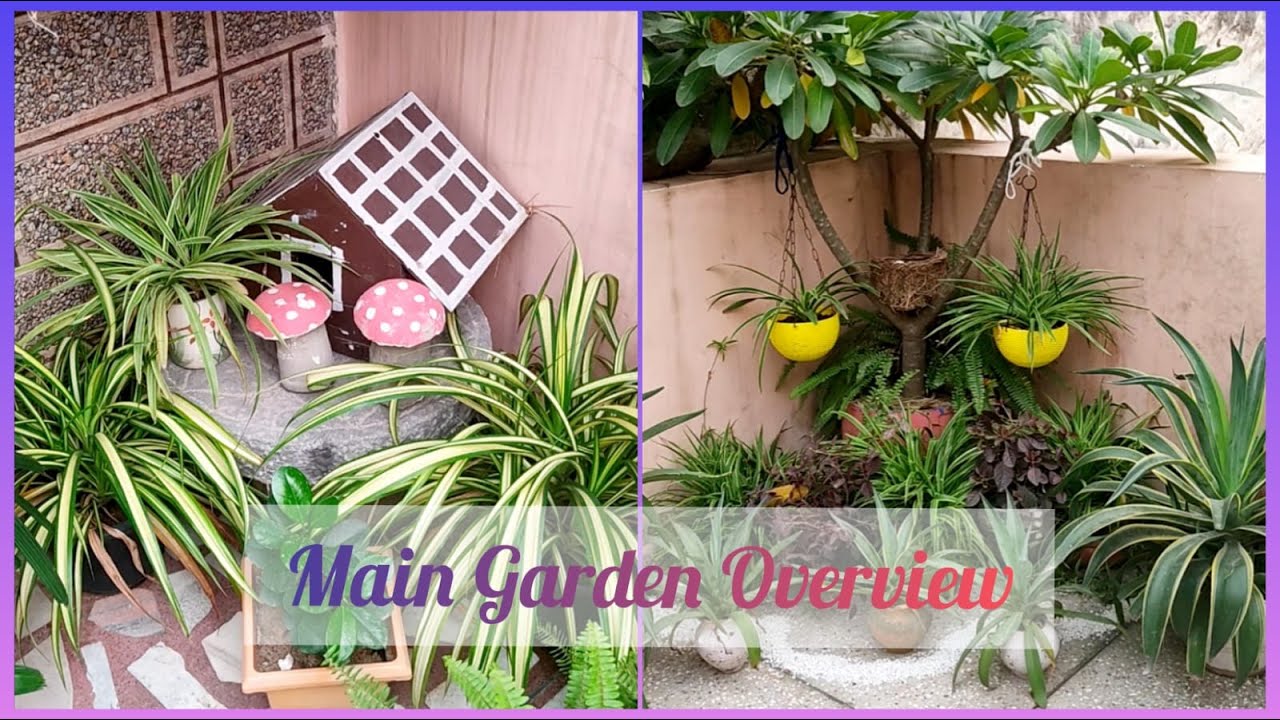 Main Garden Overview - YouTube