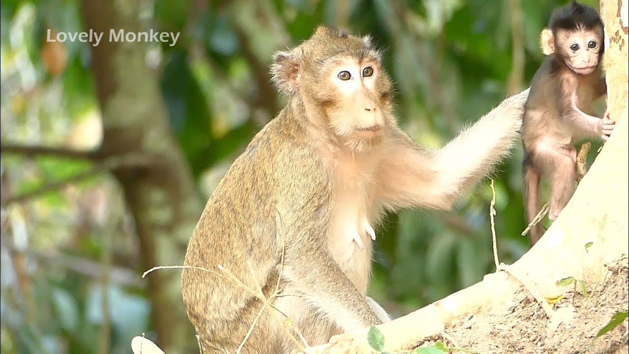 I Believe Baby Apache Will Make This World More Beautiful From Her ...