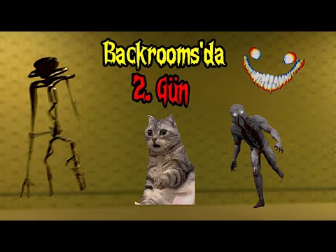 Bir Kedinin Günlüğü İle Backrooms | 2.Bölüm | Yeni Dizi