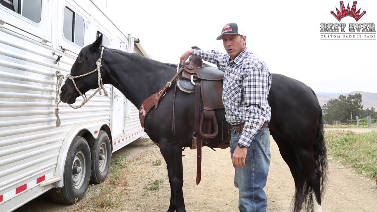 Saddle Pad Fitting - BHS Wool Fleece Saddle Pad - YouTube