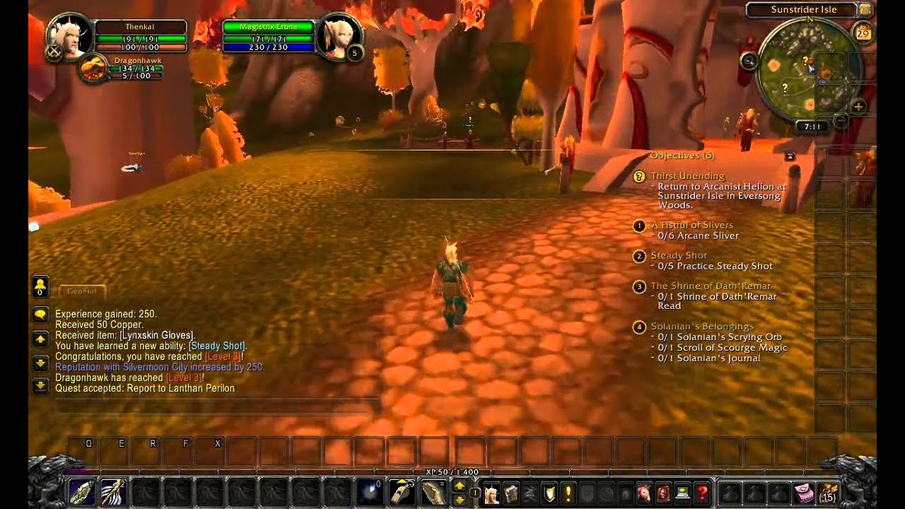 Wow Blood Elf Hunter Mop Gameplay [1] - YouTube