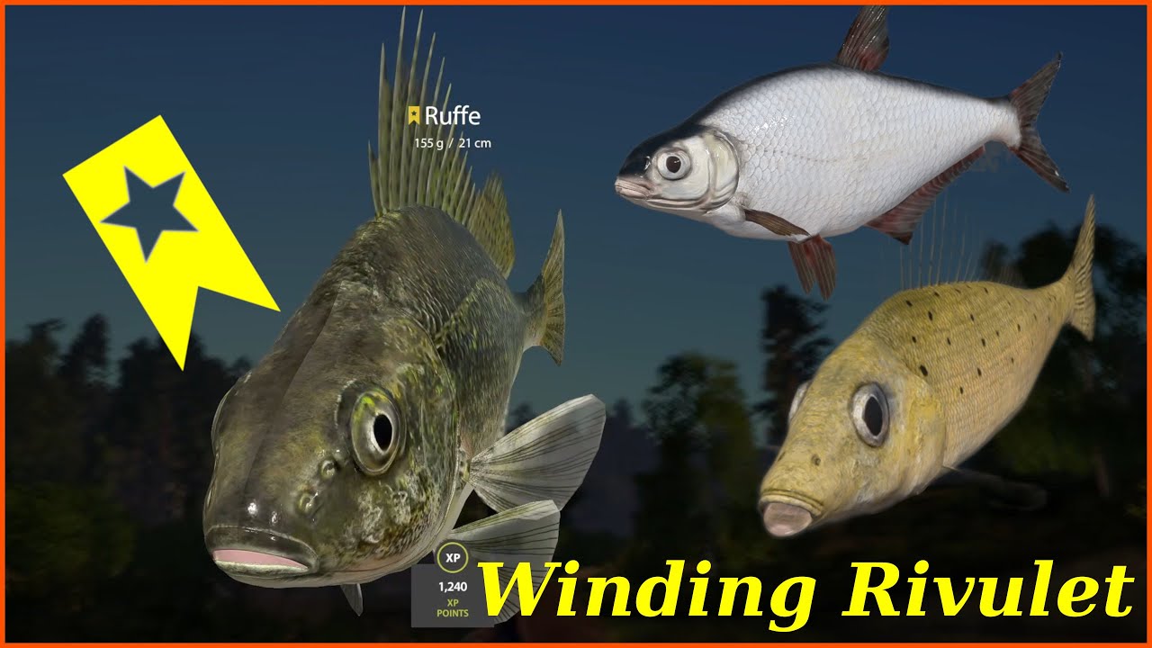 Winding Rivulet | Donets Ruffe & white-eye bream & Ruffe | Russian ...