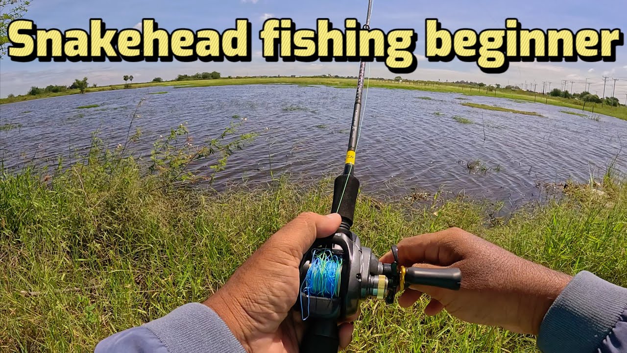 EP55 | snakehead fishing beginner, first time to cast it, funny - YouTube