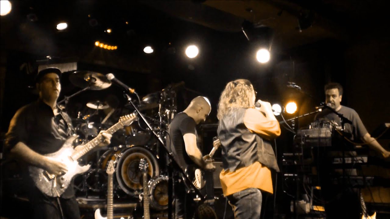 Distant Signals performing Animate - YouTube