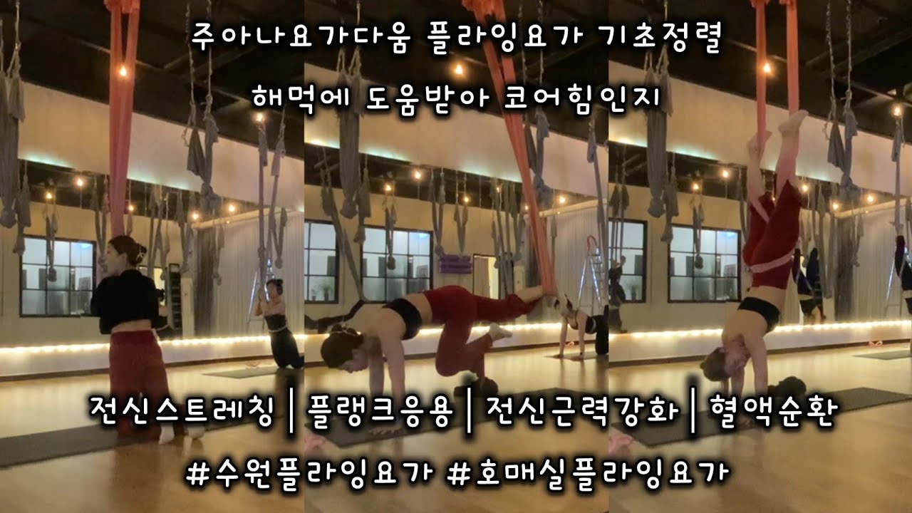 주아나요가다움 플라잉요가 기초정렬해먹에 도움받아 코어힘인지 전신스트레칭│플랭크응용│전신근력강화│혈액순환 수원플라잉요가 호매실