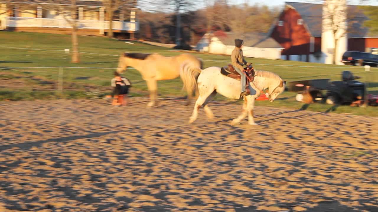 Cookie riding 3 - YouTube