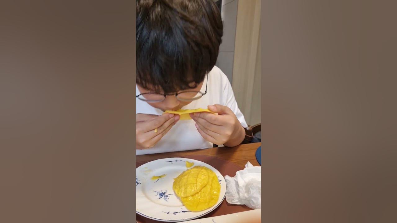 오랑우탄의 망고 먹방 좀 더러움 Youtube