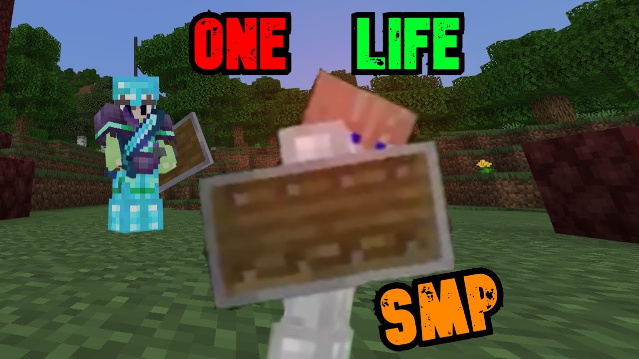 I was hired to hunt him down... ONE LIFE SMP - YouTube