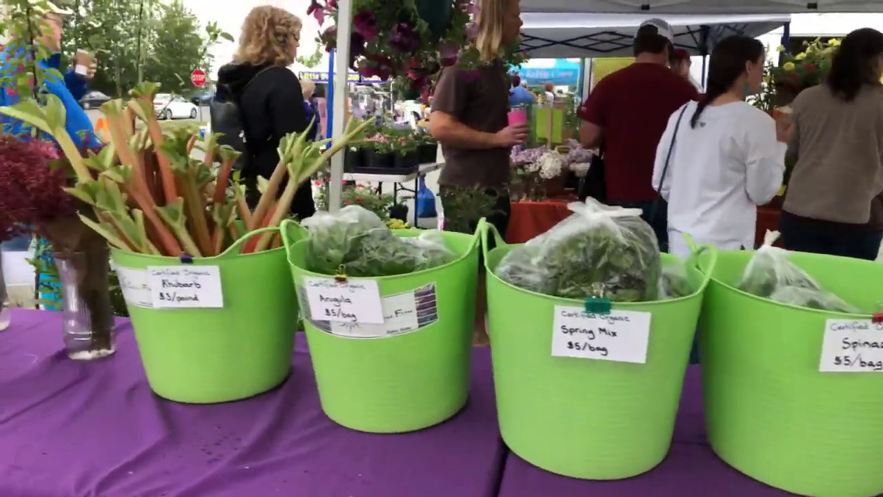 South Anchorage Alaska Farmers Market - Live Stream - YouTube