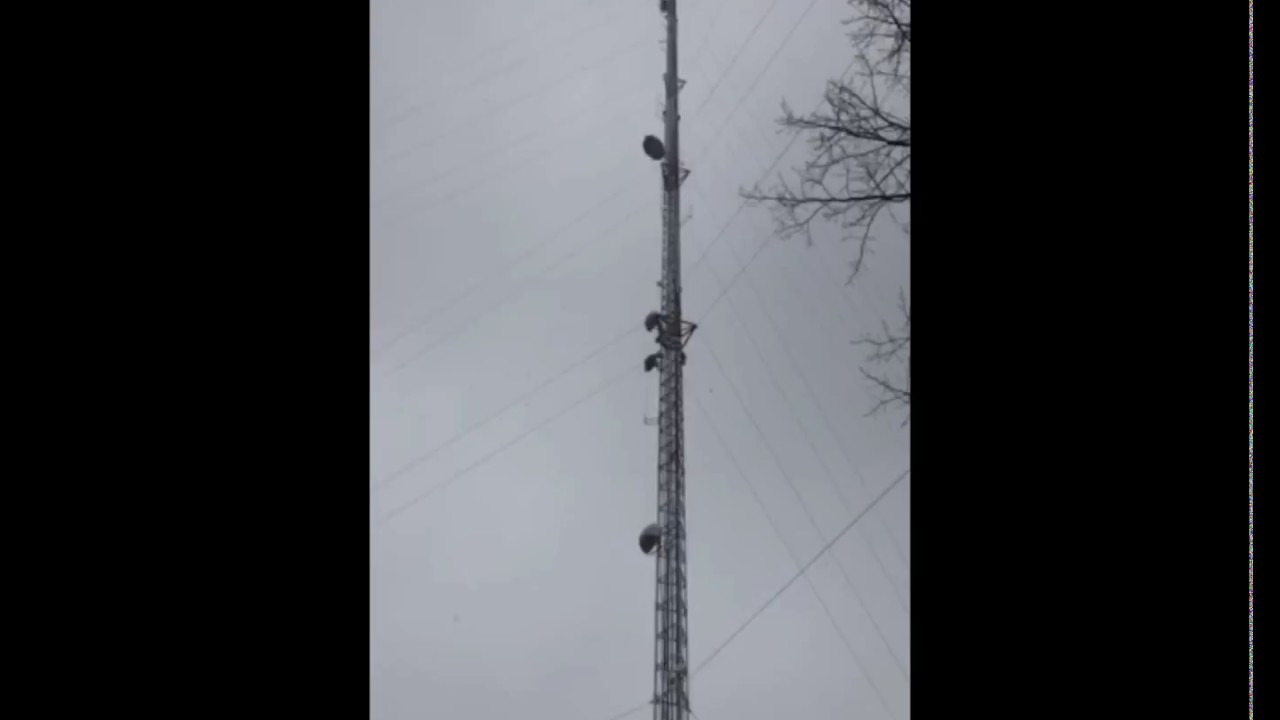 Helium Balloons Get Stuck In The Tree Near Radio Tower - YouTube