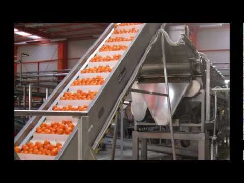 Citrus oil and juice extraction - YouTube