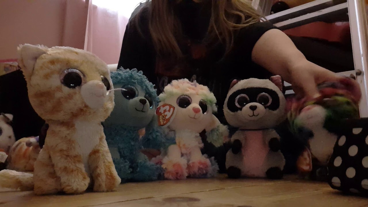 Funny beanie boos🐩🦝🐆🐕 - YouTube