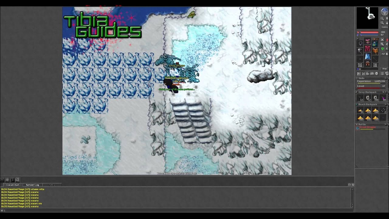 Tibia - Frost Dragons ED Hunting Tutorial - YouTube