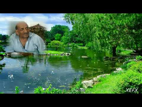 ATASIZ DUNYA(1)