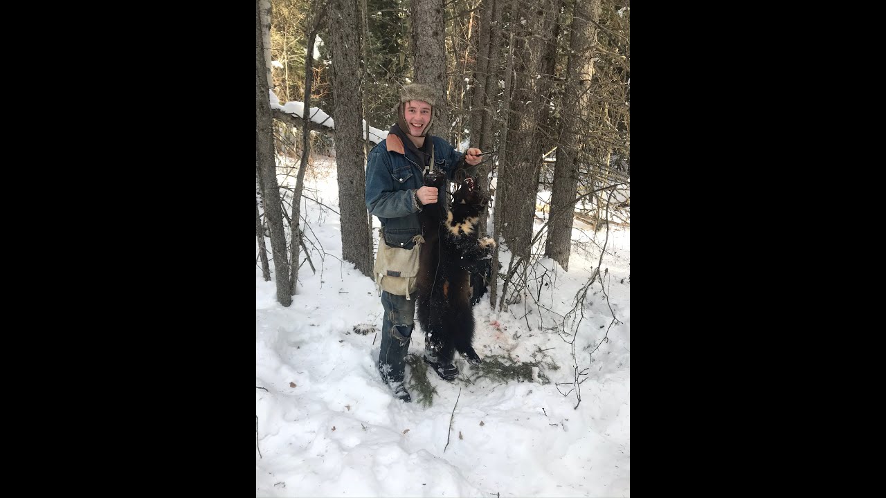 2019/2020 Trapping season recap - YouTube