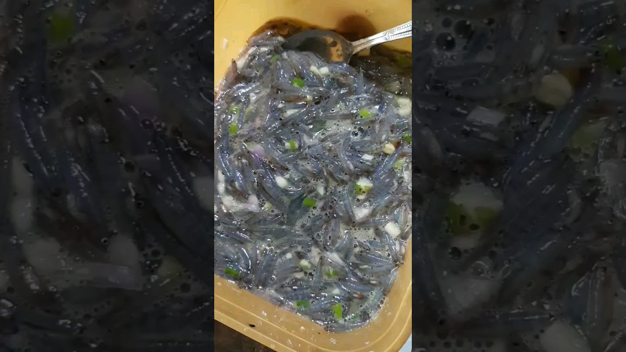 silver fish omelette/tortang dilis - YouTube