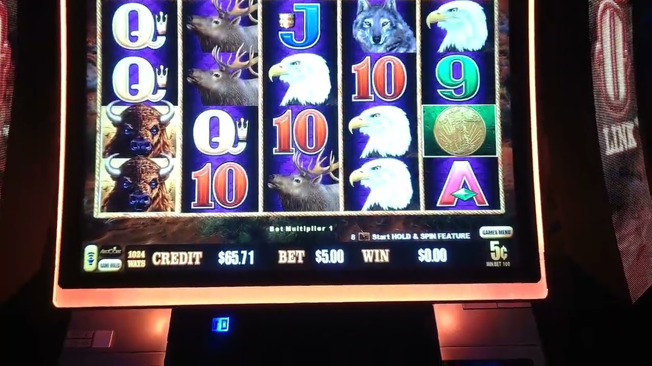 Couple Hundred Dollars in BUFFALO LINK SLOT MACHINE w/ Bonus - YouTube