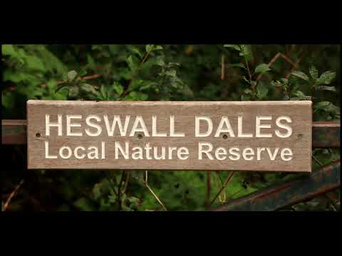 Heswall Dales - Armchair Walks - YouTube