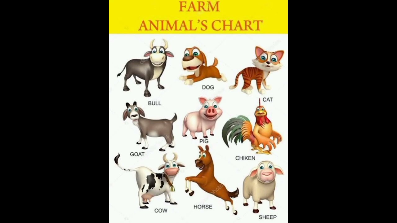 Real Farm Animals Pictures Chart Say Hello To Our Brand New Woodland
