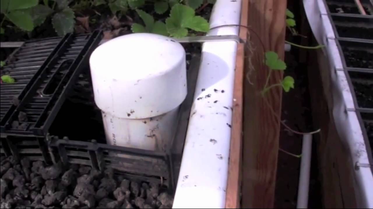 Aquaponics Aggregate Bio Filter - YouTube