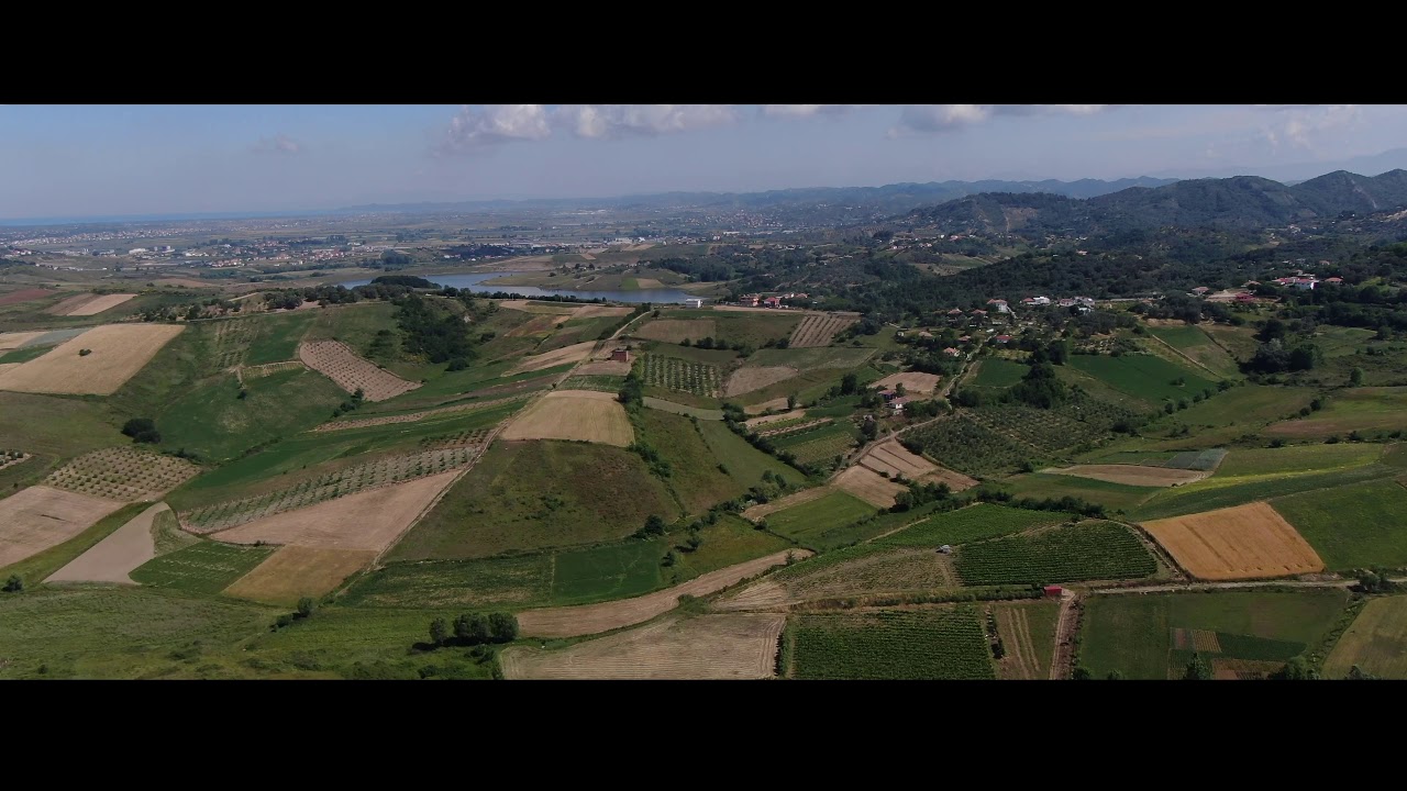 Vreshtaria ne Shqiperi - Shahinaj (Durres) - YouTube