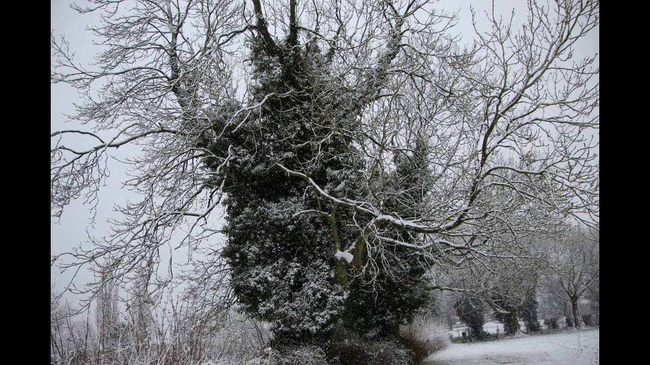 Snow In Stevenage 2020 - YouTube