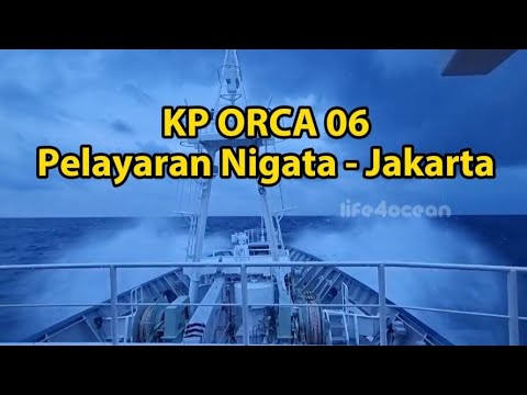 KP Orca 06 || Pelayaran Nigata (Jepang) - Jakarta [Sept 2023] # ...