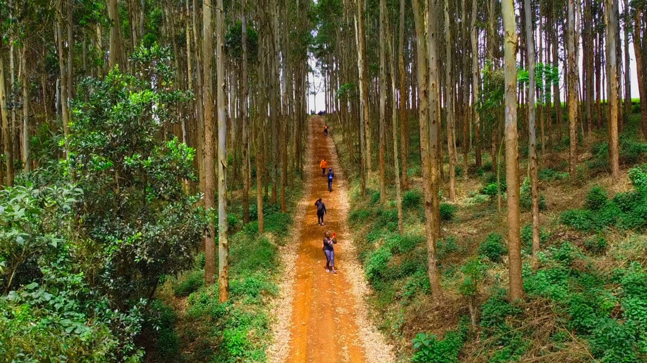 Karirana in Limuru: The Best Weekend trip for nature lovers! - YouTube