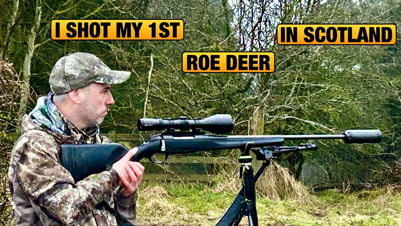 Deer Stalking !!! I Shot My First Roe Deer In Scotland - YouTube