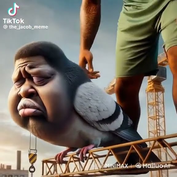 LeBron Pigeon - YouTube