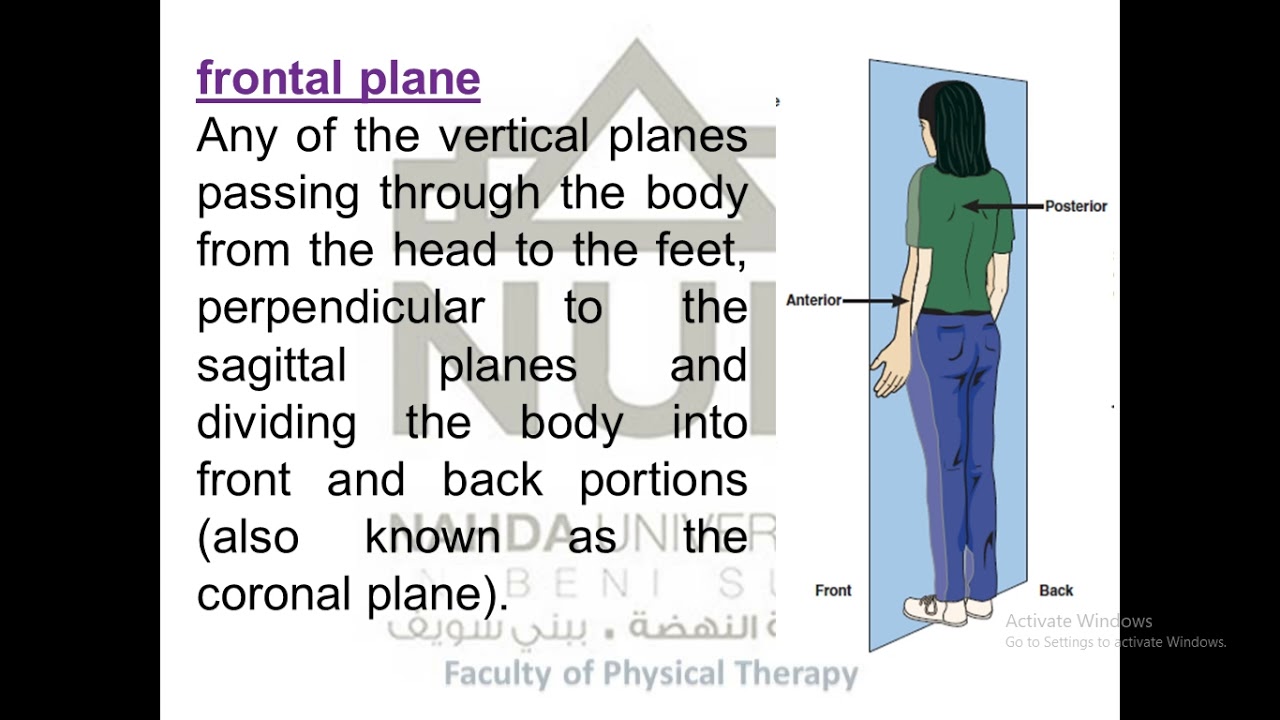 terminology positional , directional and anatomical terms - YouTube