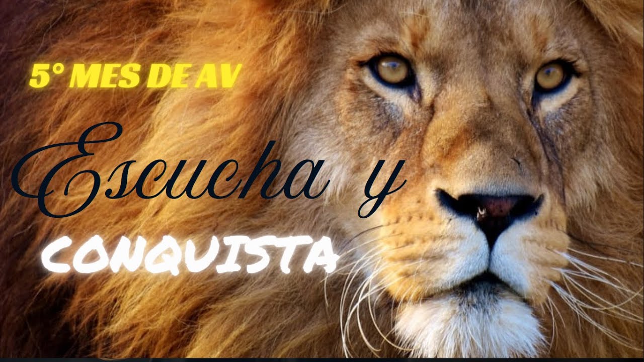 5° mes de AV/león/ escucha y conquista #teología #pastoralizpaniagua # ...