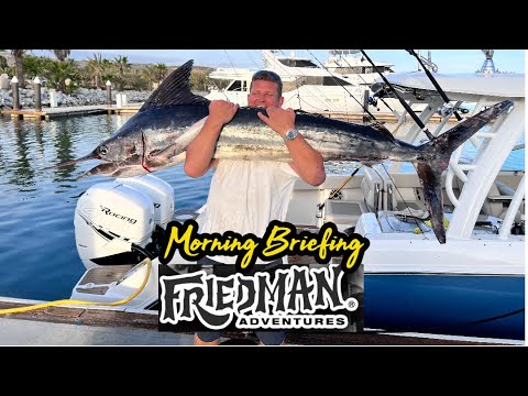 Crazy good bite in Cabo San Lucas, Tanner Bank bluefin still biting ...