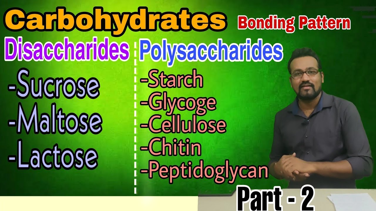 Lecture-11(P2)| CARBOHYDRATES | Storage & Structural Polysaccharides ...