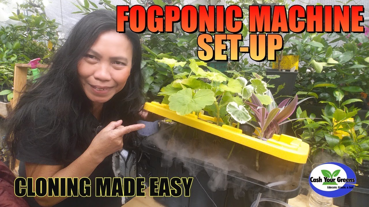 FOGPONIC MACHINE SET UP / CLONING PLANTS easy propagation - YouTube